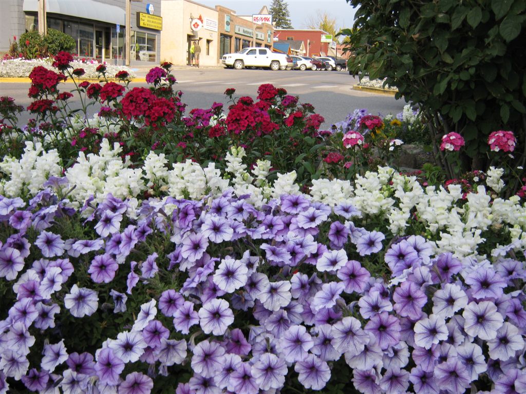 Columbia Valley Tourism Guide | East Kootenay | Official Travel Guide ...