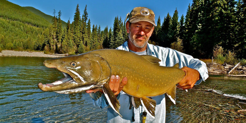 Things To Do | Invermere | Columbia Valley BC